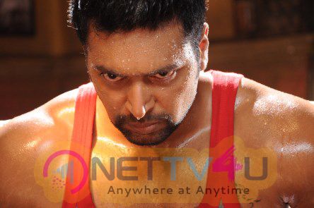 Tamil Movie Bhooloham With Jayam Ravi | 85737 | Latest Stills & Posters