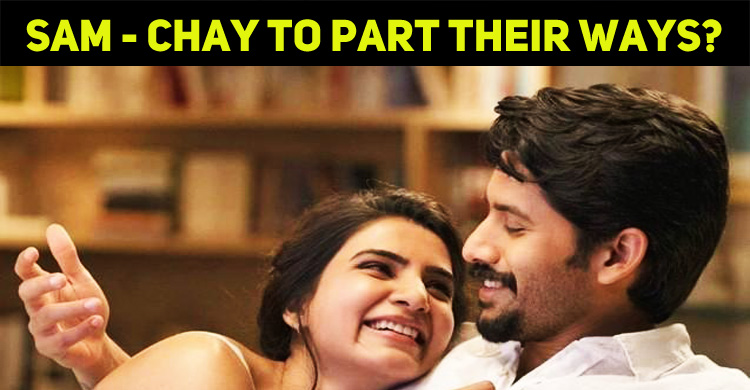 Sam And Chay’s Shocking Revelation! Is That True? | NETTV4U