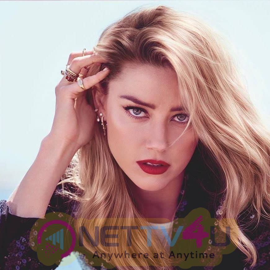 Actrees Amber Heard Pretty Pics | 615268 | Galleries & HD Images