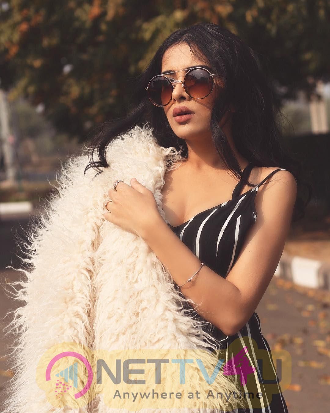 Actress Sara Gurpal Attractive Stills | 557166 | Galleries & HD Images