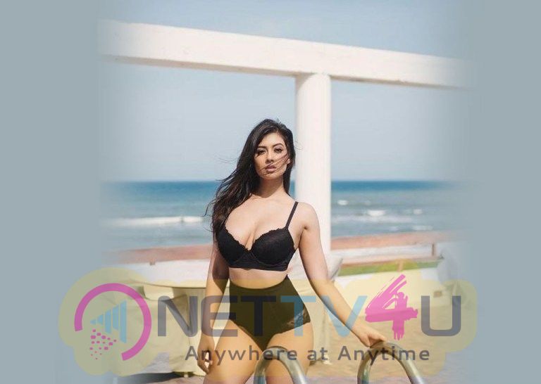 Actress Sameea Bangera Hot Images | 516468 | Galleries & HD Images