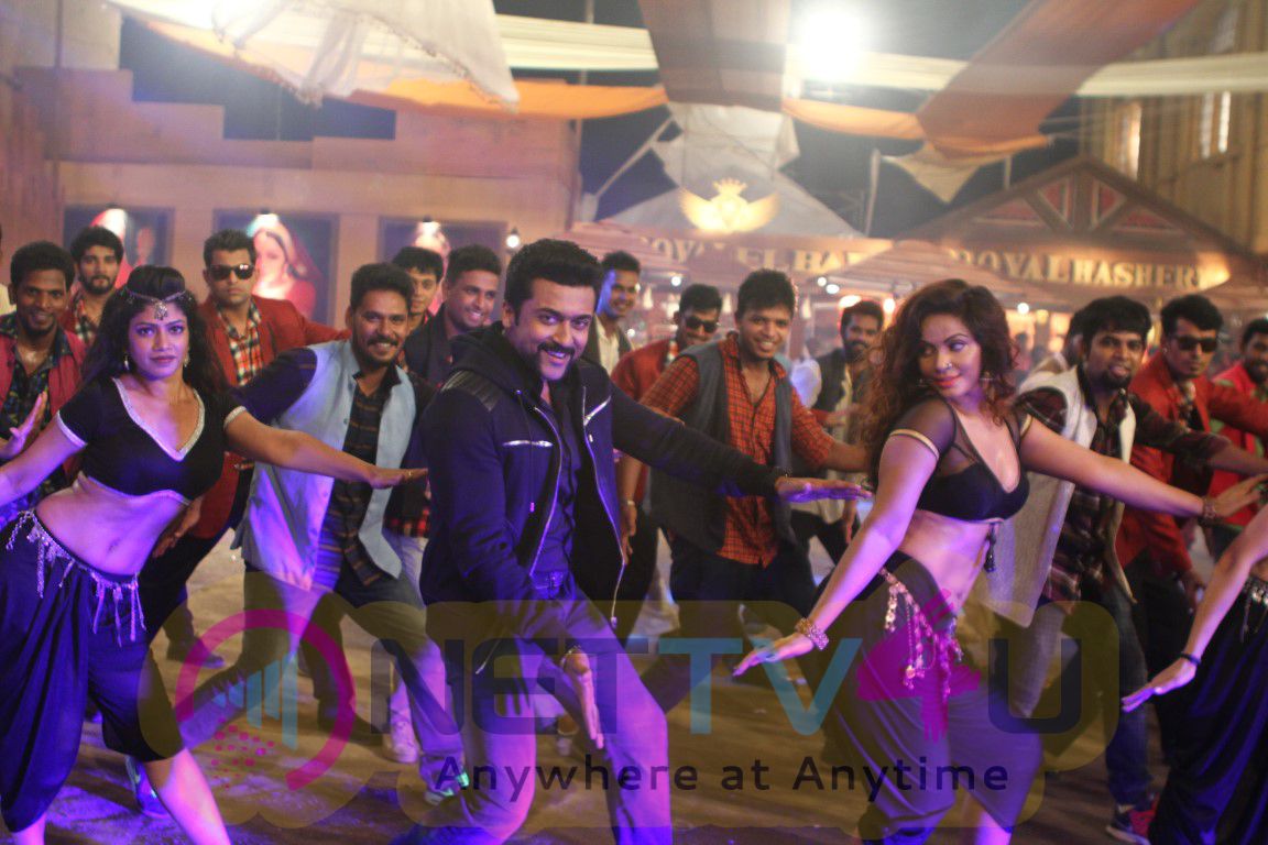 Suriya S Singam 3 First Look Stylish Stills | 444845 | Latest Stills ...