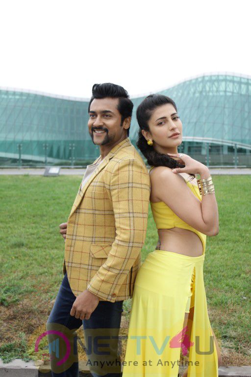 Suriya S Singam 3 First Look Stylish Stills | 444803 | Latest Stills ...