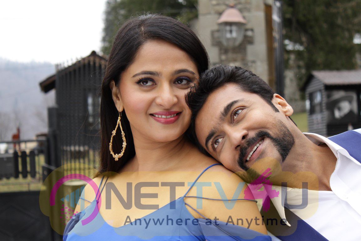 Suriya S Singam 3 First Look Stylish Stills | 444858 | Latest Stills ...