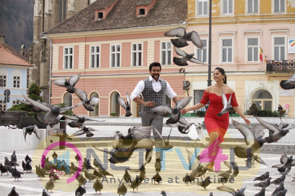 Suriya S Singam 3 First Look Stylish Stills | 444861 | Latest Stills ...