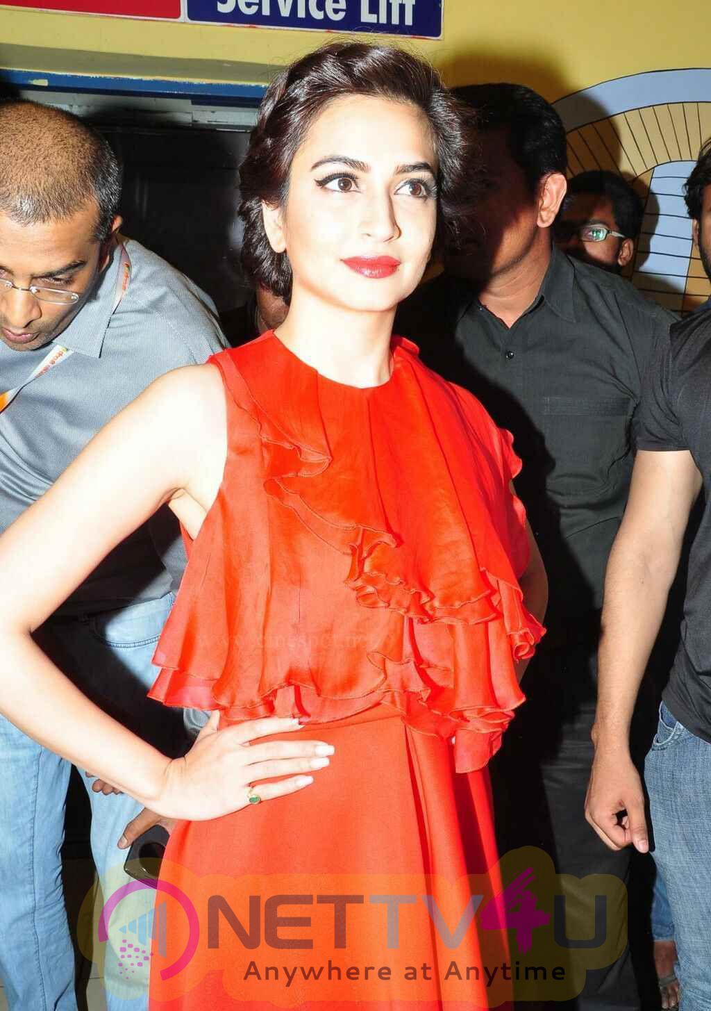 Actress Kriti Kharbanda Gorgeous Images | 210954 | Galleries & HD Images