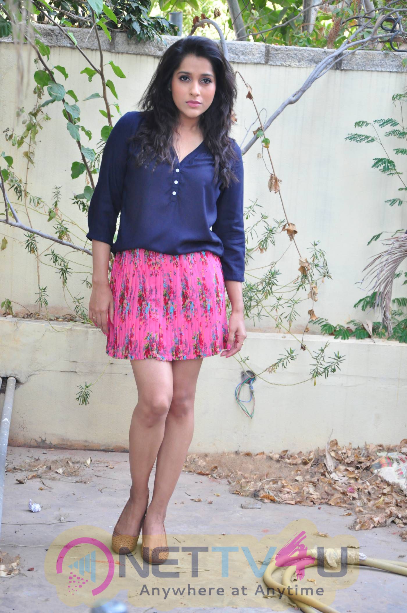 Telugu Actress Reshmi Goutham Latest Pics | 79129 | Galleries & HD Images