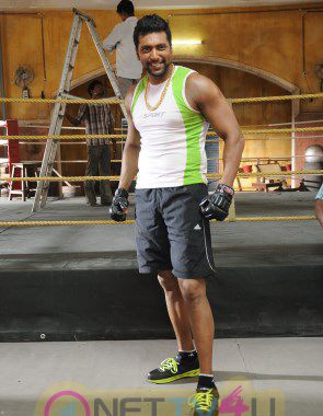 Tamil Movie Bhooloham With Jayam Ravi | 85646 | Latest Stills & Posters