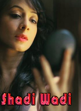 Hindi Movie Review Shadi Wadi - Cast and Crew | NETTV4U