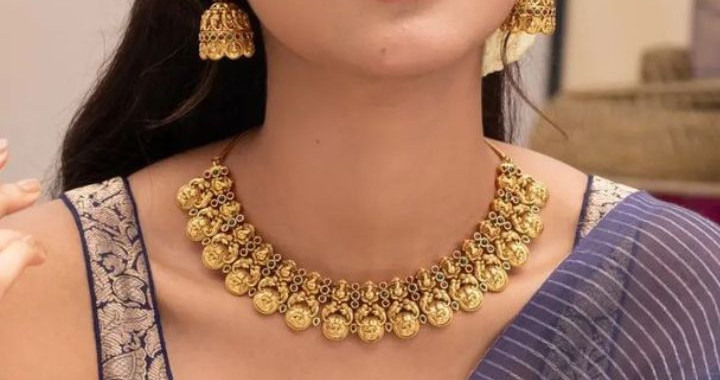 Bollywood Model Shaswati Bala Biography, News, Photos, Videos | NETTV4U