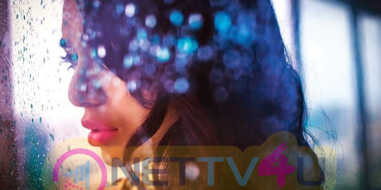 Shobitha Dhulipala Latest Pics | 539314 | Galleries & HD Images