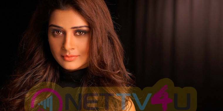 Actress Payal Rajput Attractive Images | 532714 | Galleries & HD Images