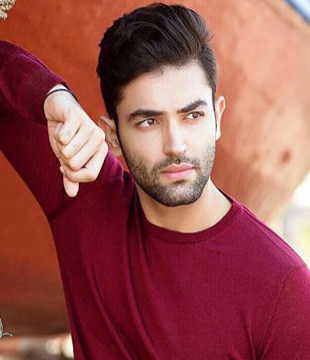 Bollywood Actor Akash Jagga Biography, News, Photos, Videos | NETTV4U
