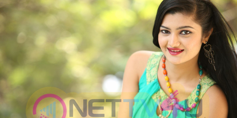 Akshita New Images | 549037 | Galleries & HD Images