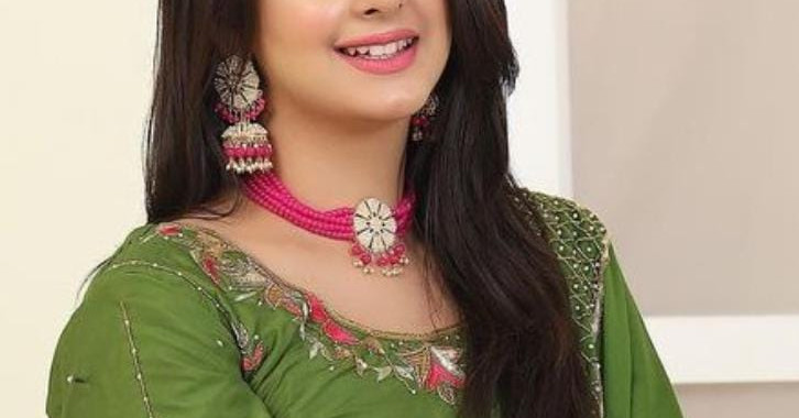 Bollywood Model Model Meet Arora Biography, News, Photos, Videos | NETTV4U