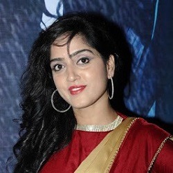 Malayalam Tv Actress Divya Singh Biography, News, Photos, Videos | NETTV4U
