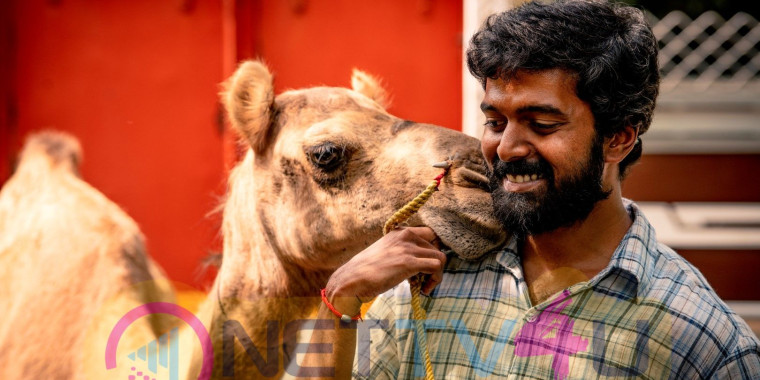 Bakrid Movie Stills | 589857 | Latest Stills & Posters