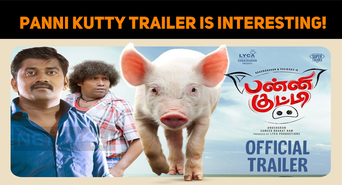 Panni Kutty Trailer Is Interesting! | NETTV4U