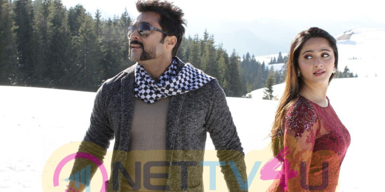Suriya S Singam 3 First Look Stylish Stills | 444865 | Latest Stills ...