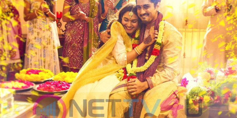 Aval Tamil Movie Pics | 518924 | Latest Stills & Posters