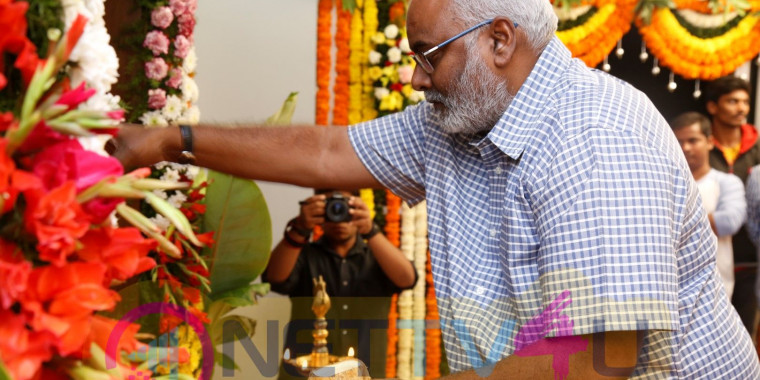 Chiranjeevi Son In Law Kalyaan Dhev Debut Film Launched Photos 536611