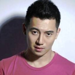 Hollywood Supporting Actor Calvin Ka Sing Cheng Biography, News, Photos, Videos | NETTV4U