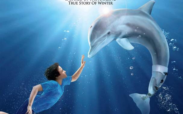 English Movie Review Dolphin Tale - Cast and Crew | NETTV4U