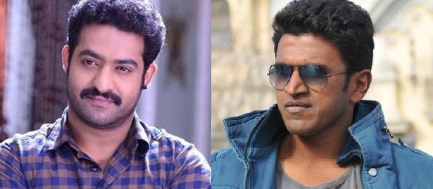 Jr Ntr To Sing For Puneet Rajkumar! | NETTV4U