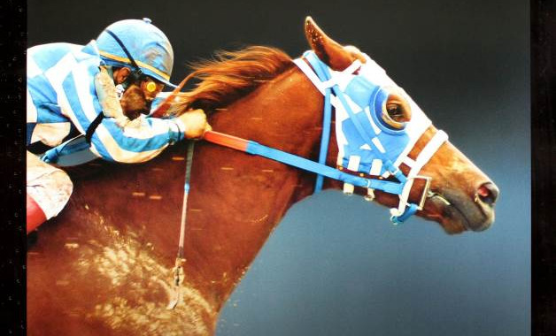 Secretariat Movie Review (2010) - Rating, Cast & Crew With Synopsis